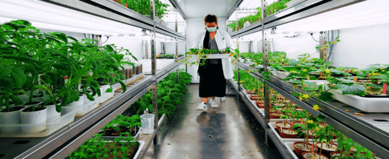 Productos biotecnológicos para agricultura sostenible - Futureco Bioscience