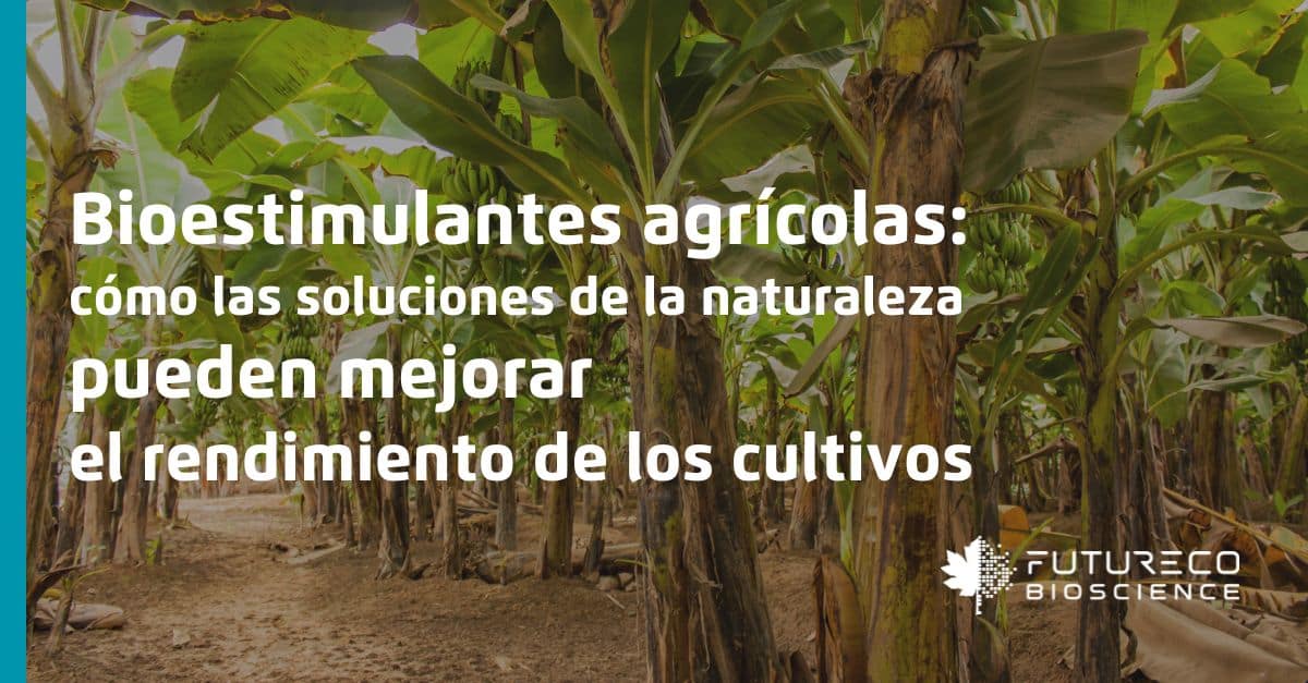 Bioestimulantes agrícolas: ¿Qué son exactamente?