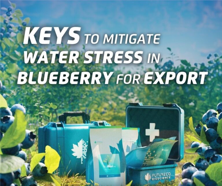 Biotech products for sustainable agriculture - Futureco Bioscience