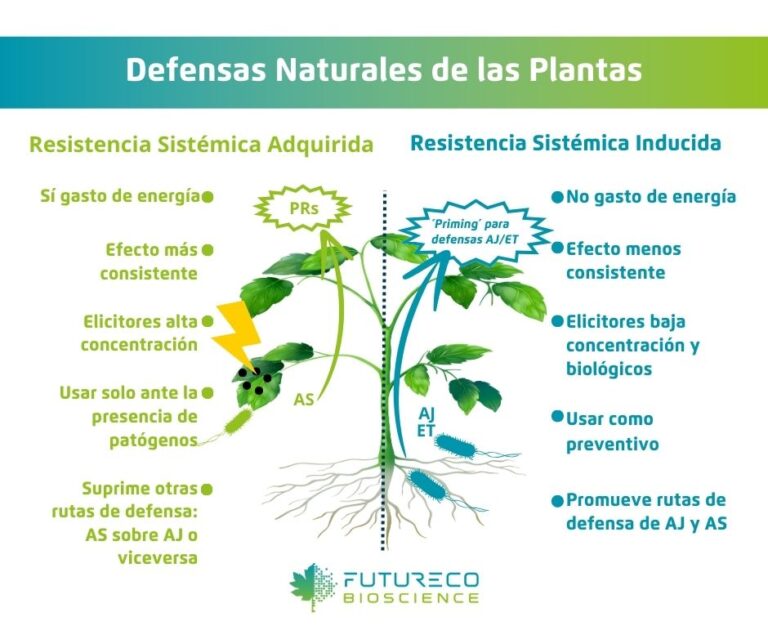 Uso de elicitores para la activación de las defensas naturales de las ...